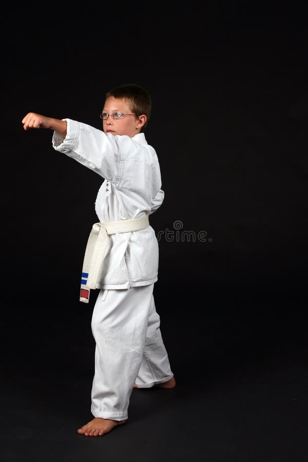 Traditional Karate Student Picture. Image: 6393220