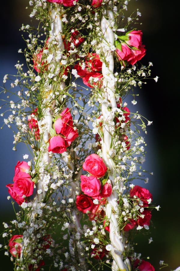 Traditional Lasso for a Mexican Wedding Stock Image - Image of lasso ...