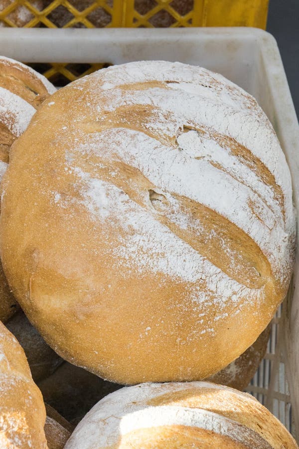 Traditional Loaves of Wheat or Rye Bread in Bakery Stock Image - Image ...