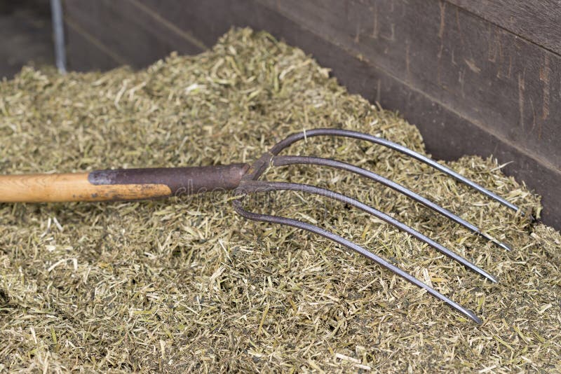 Traditional Manure Fork on a Bale of Cattle Feed Stock Photo - Image of ...