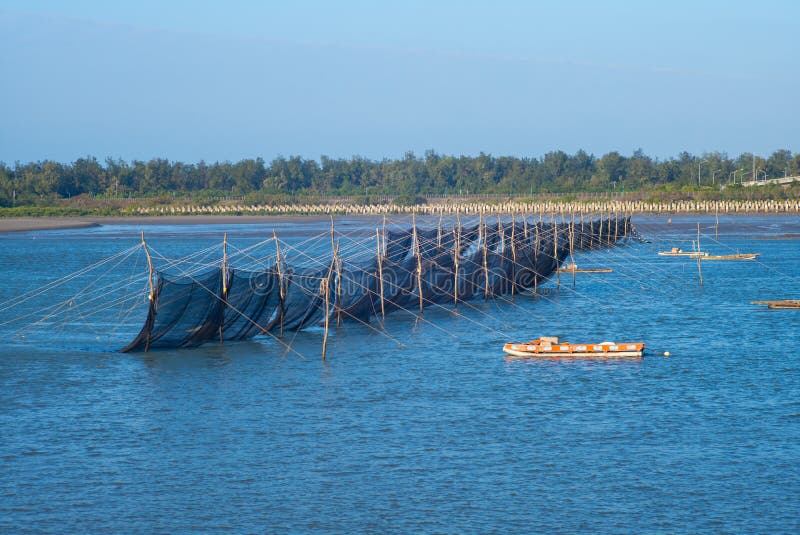 Traditional Method To Catch Eel in Taiwan Stock Image - Image of green ...