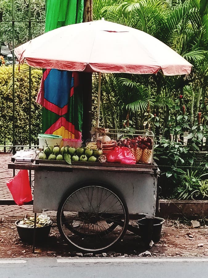 Traditional of Mix fruits stock photo. Image of tree - 227730066