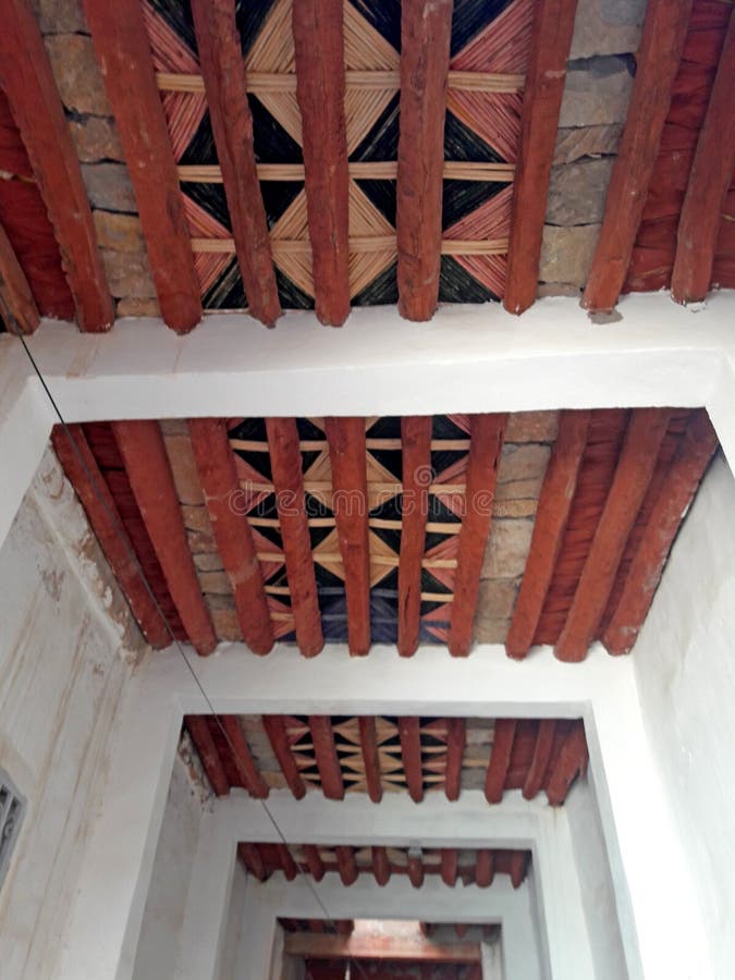 Traditional Nceiling Ceilinged with Palm Tree Trunks and Branches of ...