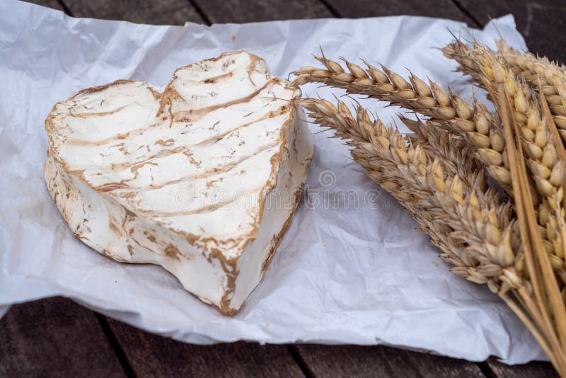 Traditional Neufchatel Cheese, Dairy Product, France Stock Image ...