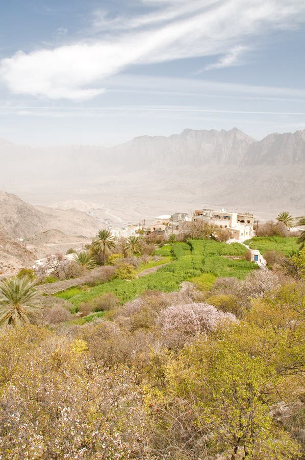 Traditional Omani Farm stock image. Image of landscape - 20010411