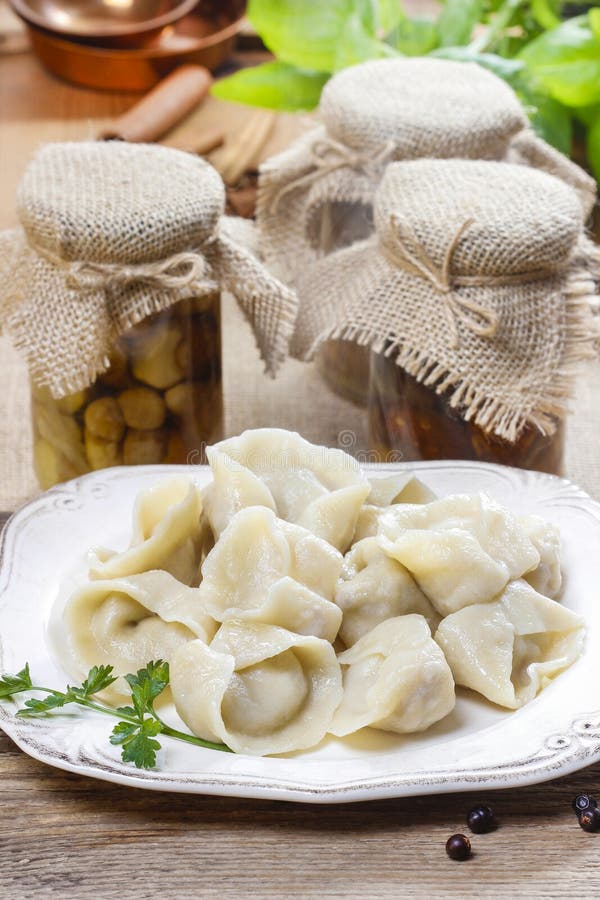 Traditional Polish Dumplings Stock Image - Image of cookbook, appetizer ...