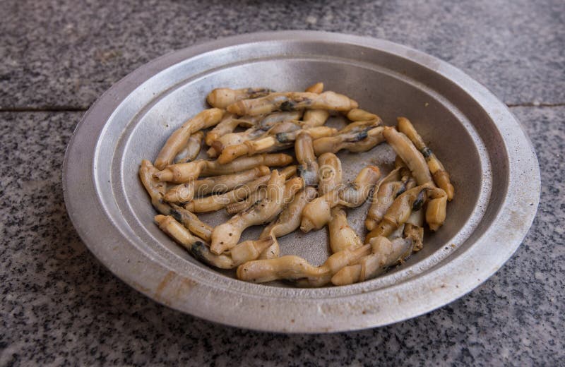 231 Razor Clam Shell Stock Photos - Free & Royalty-Free Stock Photos ...