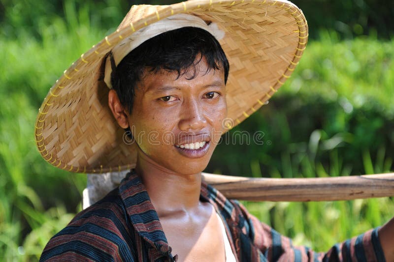 Traditional rice farmer stock image. Image of agriculture - 40703387