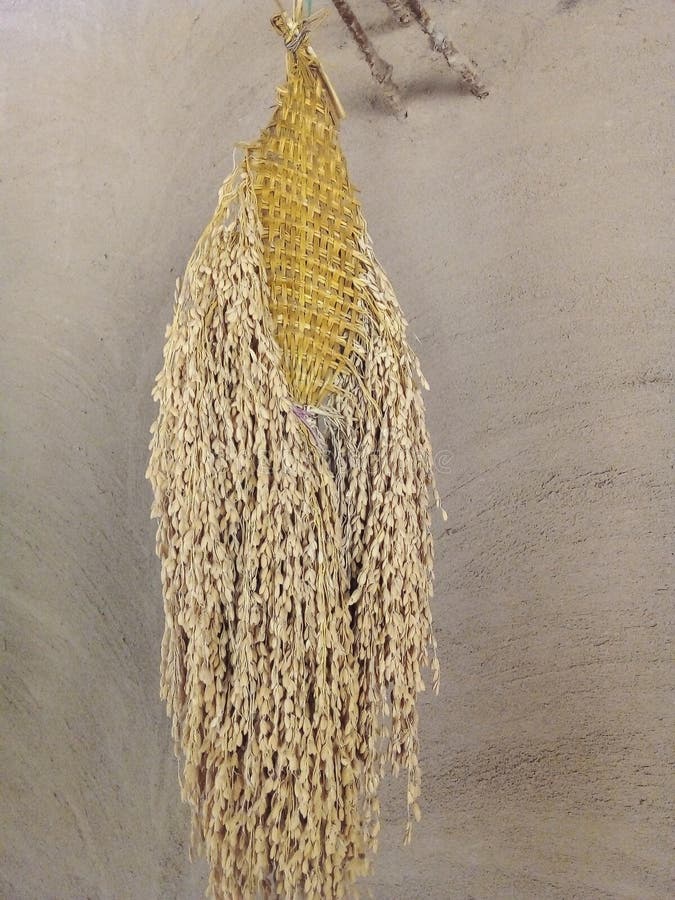 Traditional Rice of Karbi Tribe Stock Photo - Image of lighting ...