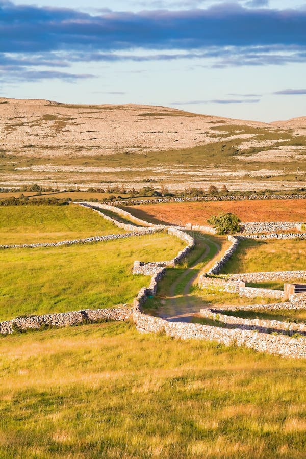 Traditional road stock photo. Image of architecture, field - 11566278