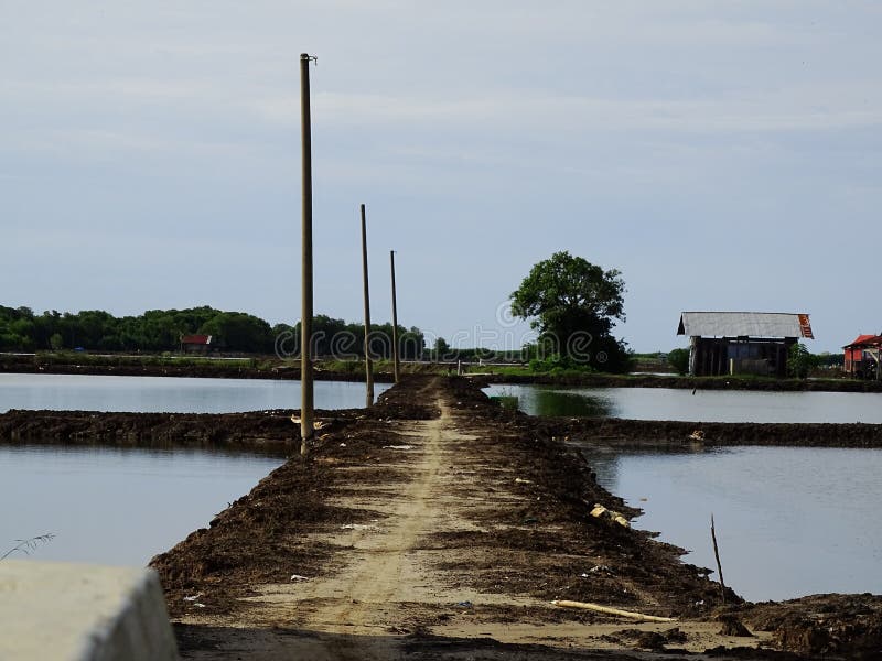 Traditional road of pond stock image. Image of traditional - 224449697