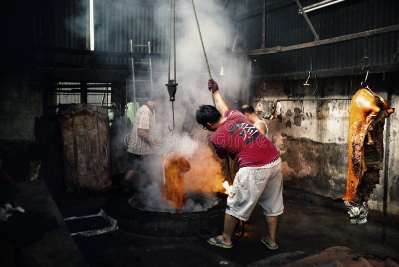 Traditional Roast Pig Processing at Scalding Station Editorial Stock ...