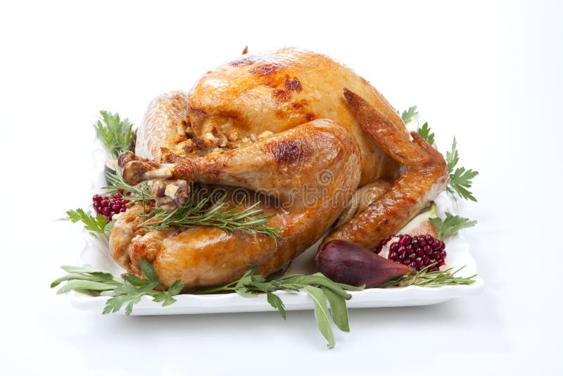 Traditional Roasted Turkey on White Stock Photo - Image of gourmet ...