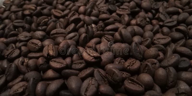 Traditional Roastery Temanggung Robusta Coffee Bean Medium To Dark ...