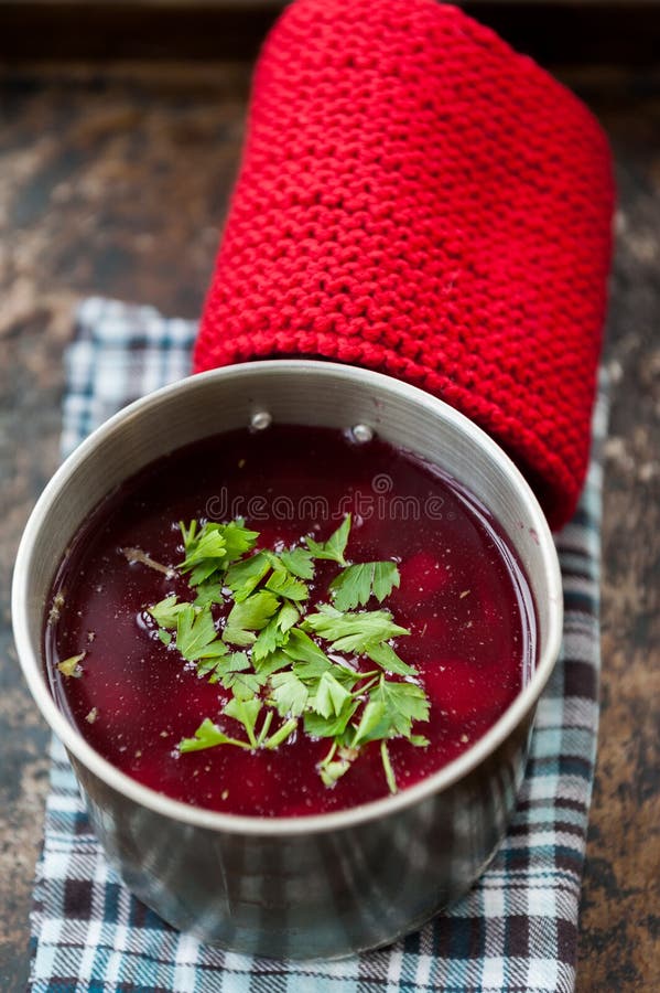 Romanian borsch stock photo. Image of kitchen, romanian - 15567344