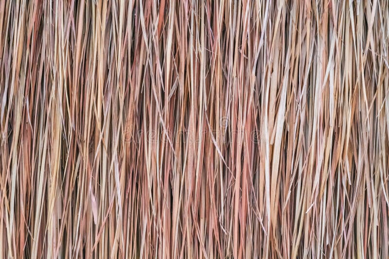 Traditional Roof Background and Texture of Thatched Roof or Wall Stock ...