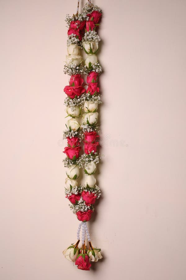 Traditional Rose Garland Isolated in White Backdrop Stock Image - Image ...