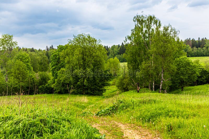 Traditional Russian Landscape Stock Image - Image of peaceful, grass ...