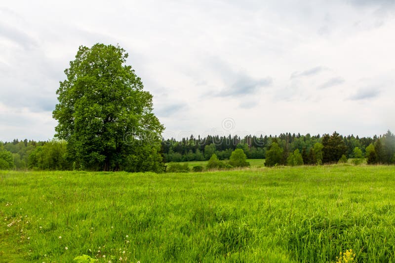 Traditional Russian Landscape Stock Image - Image of field, horizon ...