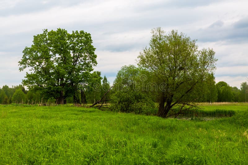 Traditional Russian Landscape Stock Photo - Image of field, outdoor ...