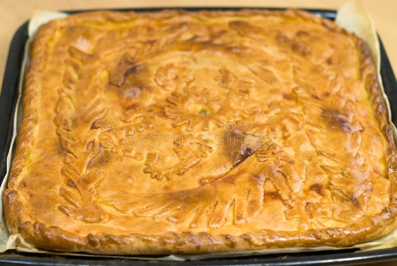 Traditional Russian pie stock photo. Image of lunch, baked - 22892374