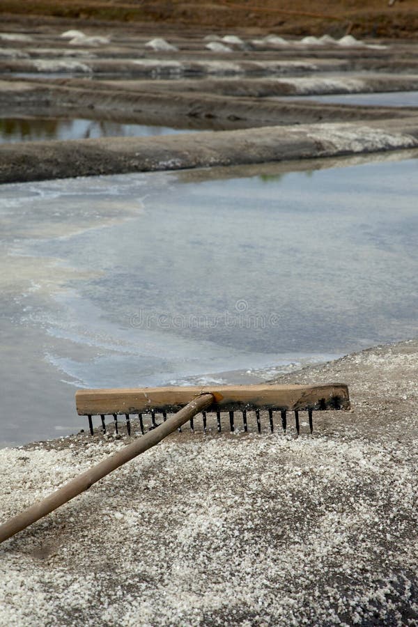 Salt extraction in a field stock image. Image of tropical - 110454463