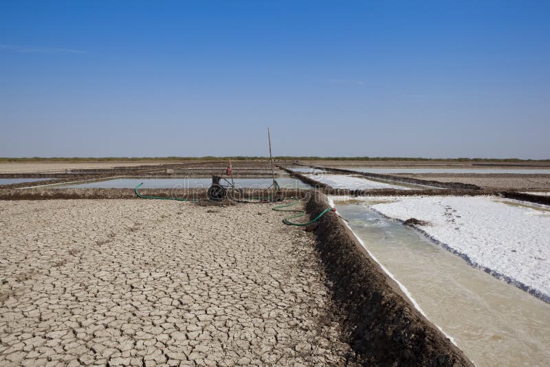 Traditional Salt Production Stock Image - Image of india, food: 23580555