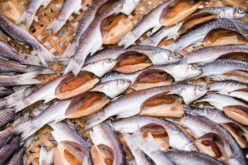 Fish drying on racks stock image. Image of sabah, seafood - 100918205