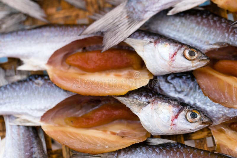 Traditional Salted Fish Drying Stock Image - Image of dried, sell ...