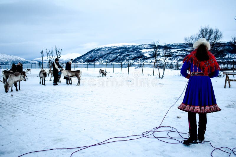 Traditional Sami People in the Norways Lapland, Tromso Editorial Stock ...