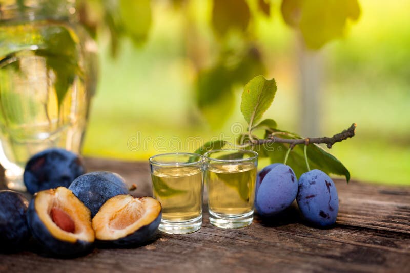 Traditional Serbian Rakia Slivovitsa Stock Photo - Image of alcohol ...