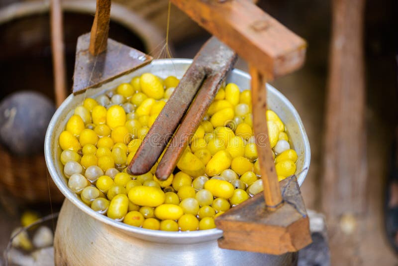 The Traditional of Sericulture in Countryside Stock Image - Image of ...