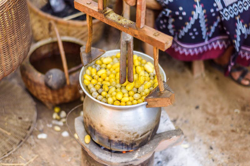 The Traditional of Sericulture in Countryside Stock Image - Image of ...