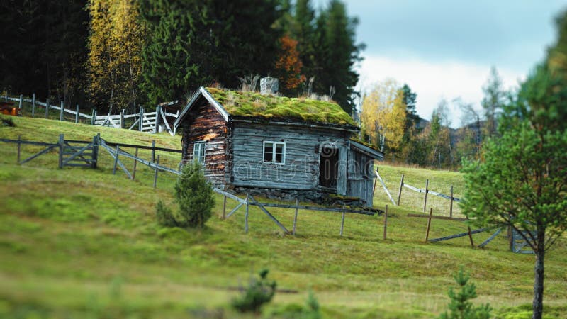 A traditional sod roof hut stock video. Video of tracking - 290591927