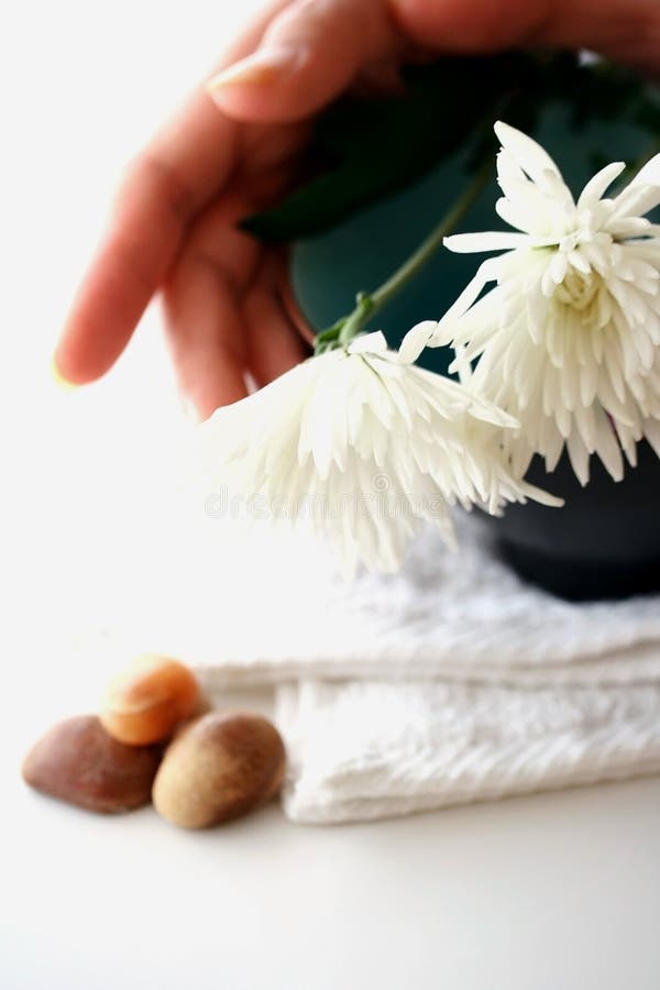 Traditional spa and health stock photo. Image of fragrance - 1582728