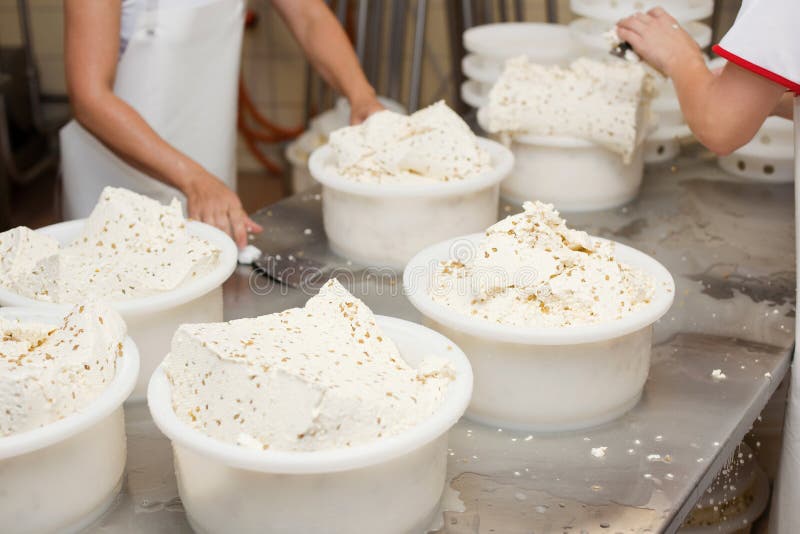 Traditional Spanish Cheese stock photo. Image of coagulated - 31302736