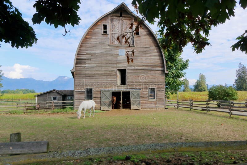 Traditional Stable or Barn for Horses Stock Photo - Image of stable ...