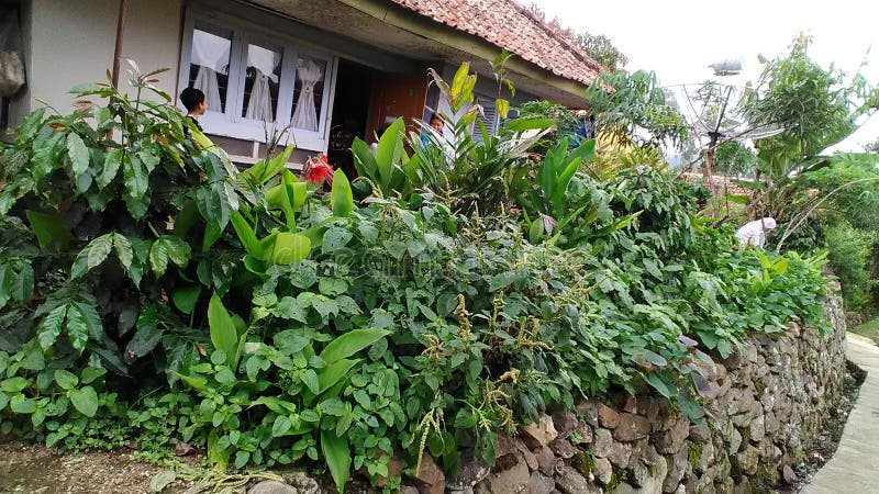 Traditional Stake House in Rural Editorial Stock Photo - Image of stake ...