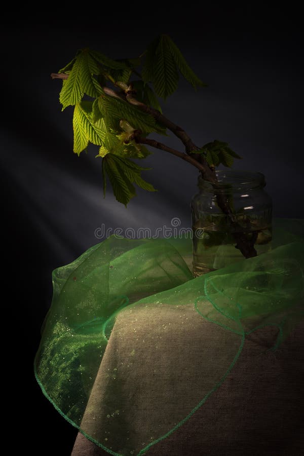 Traditional Still Life with a Chestnut Branch and Rays of Light on the ...