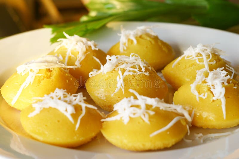 Traditional sweets stock image. Image of food, coconut - 29372239