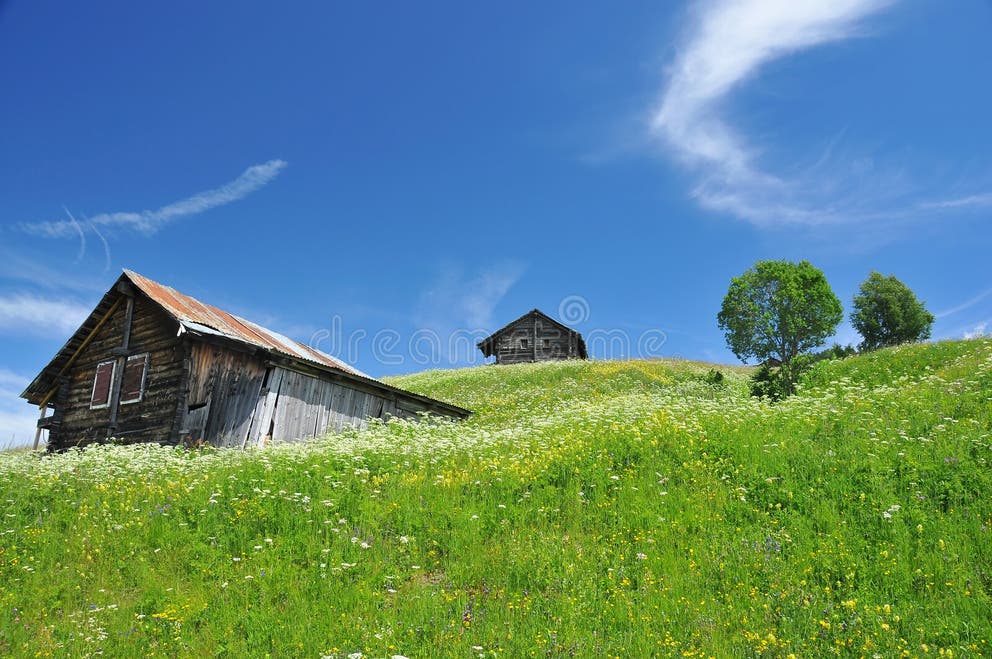 Traditional Swiss Log Cabins in Meadows Stock Photo - Image of cabin ...