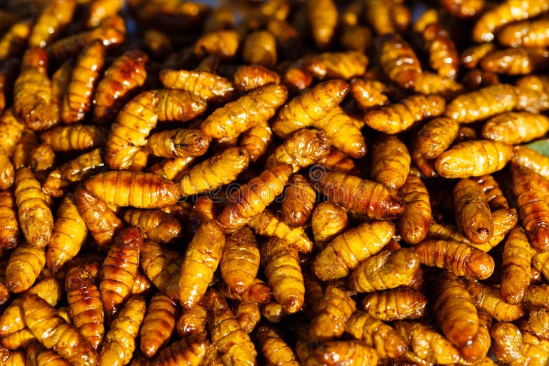 Traditional Thai Food Different Insects Stock Image - Image of cooked ...