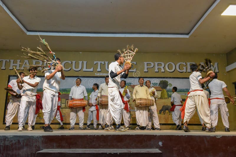 Traditional Tharu Dance at Sauraha in Nepal Editorial Image - Image of ...