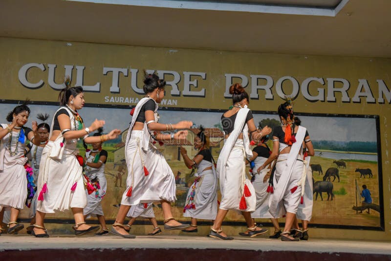 Traditional Tharu Dance at Sauraha in Nepal Editorial Photography - Image of local, costume ...