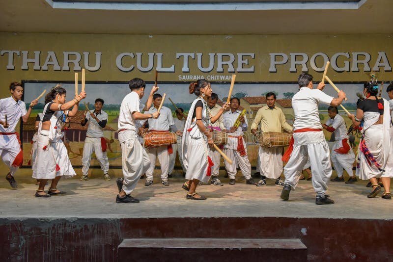 Traditional Tharu Dance at Sauraha in Nepal Editorial Image - Image of ...