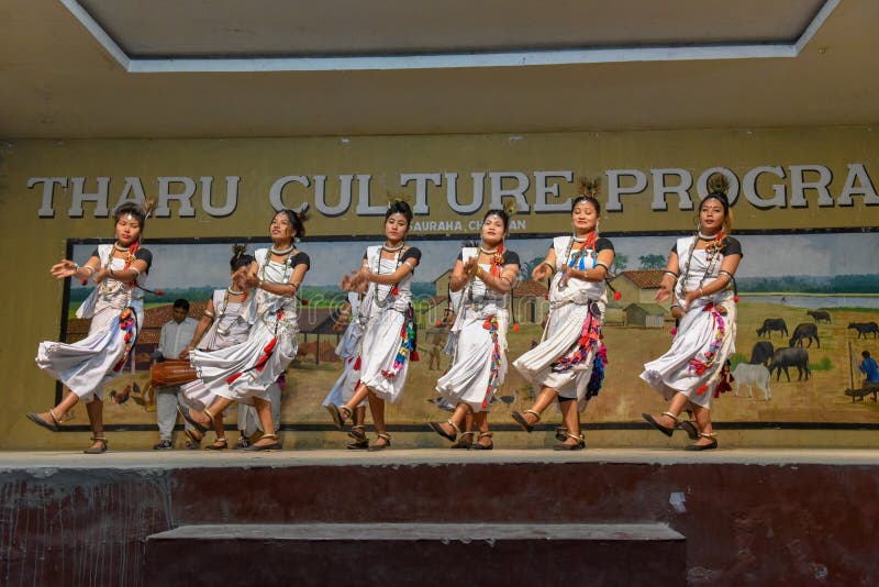 Traditional Tharu Dance at Sauraha in Nepal Editorial Stock Photo ...