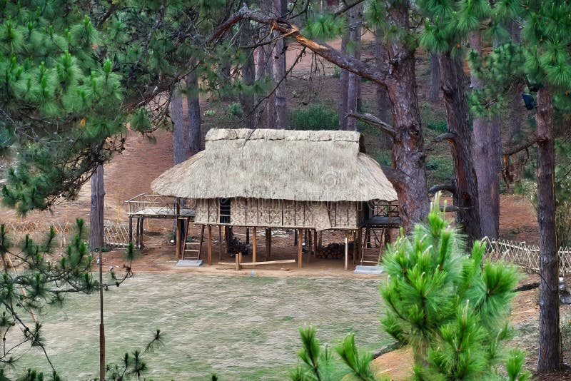 Traditional Thatched Hut in a Forest Setting. Stock Photo - Image of ...