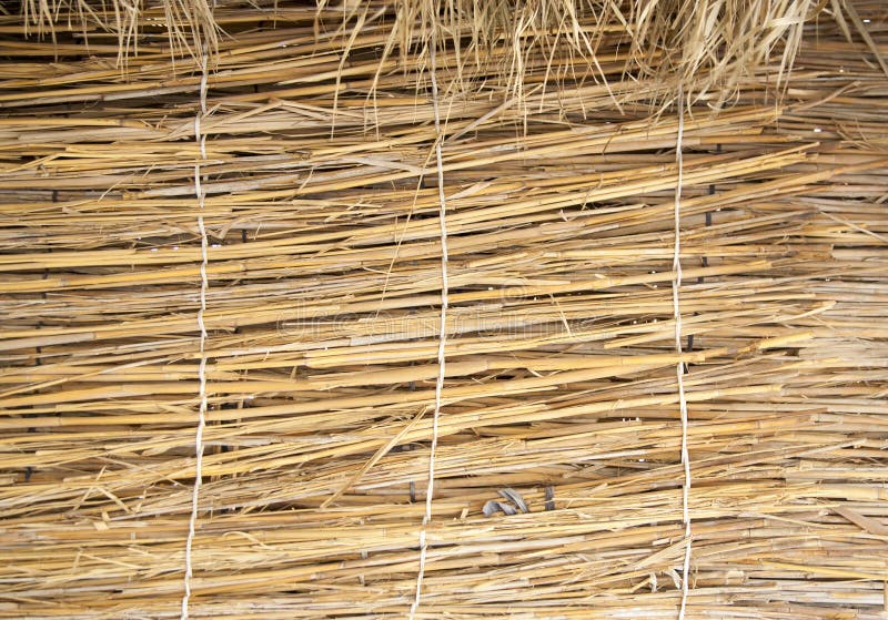 Traditional Thatched Huts Wall in the Desert Stock Photo - Image of ...