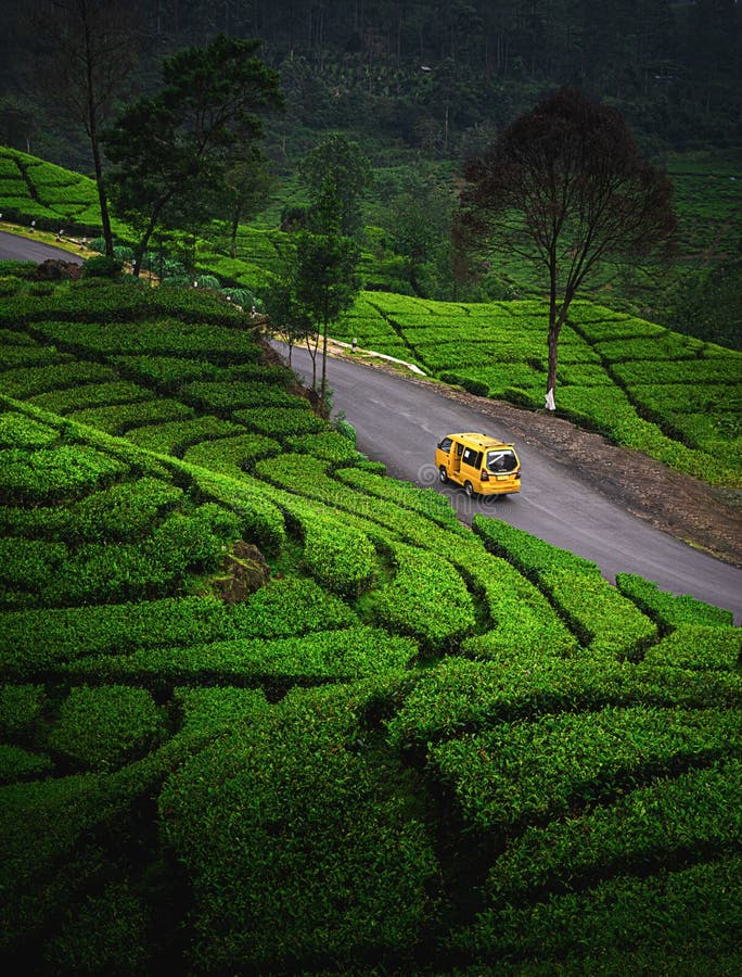 Traditional Transportation Beautiful Scenery Stock Image - Image of ...