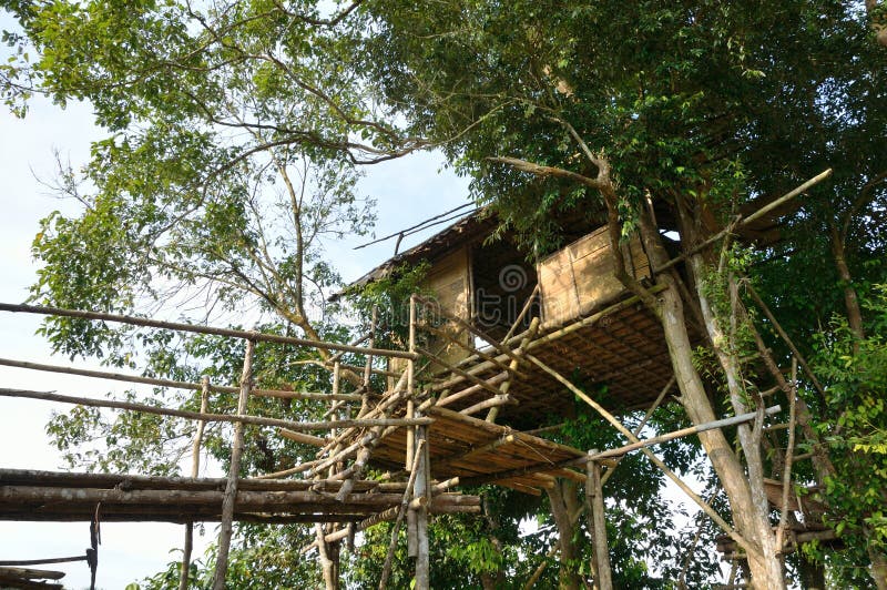 Traditional tree house stock image. Image of handcraft - 23196877